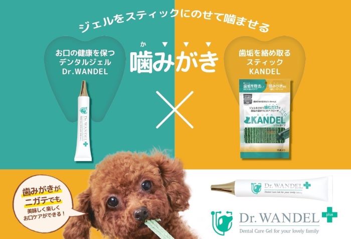 Dr.WANDEL – 有明ドッグフェスティバル